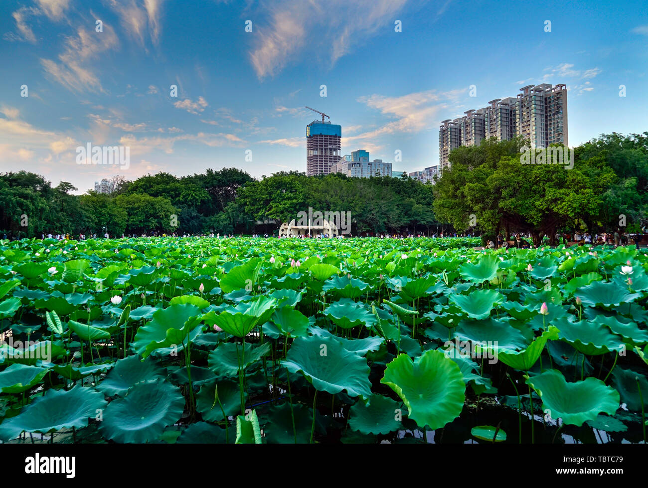 Honghu park park hi-res stock photography and images - Alamy