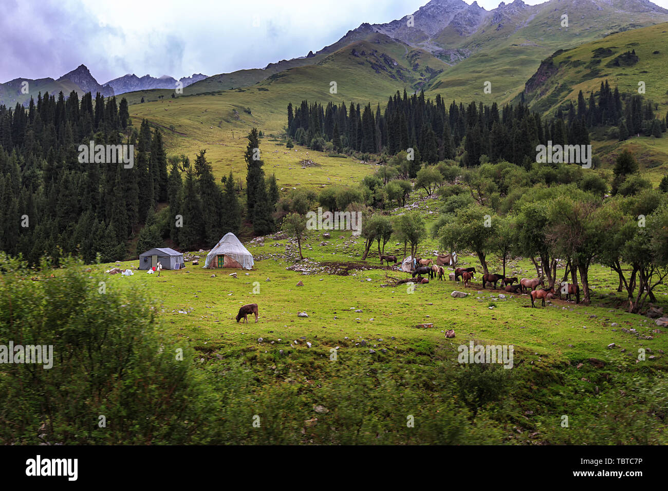 Landscape no one has small mountains trees lawns agriculture hi-res ...