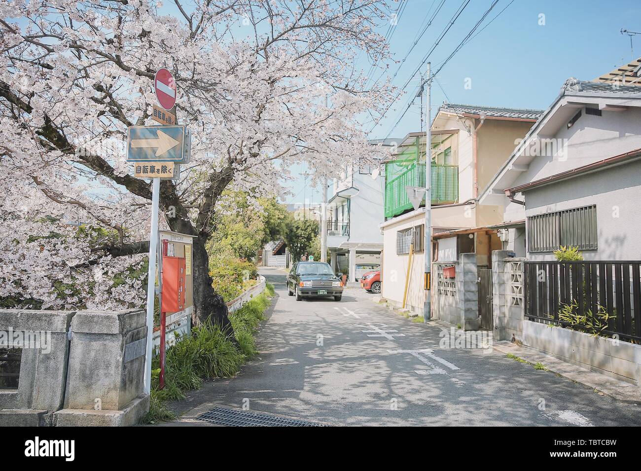 Kyoto Lan electric cherry blossom train Stock Photo - Alamy