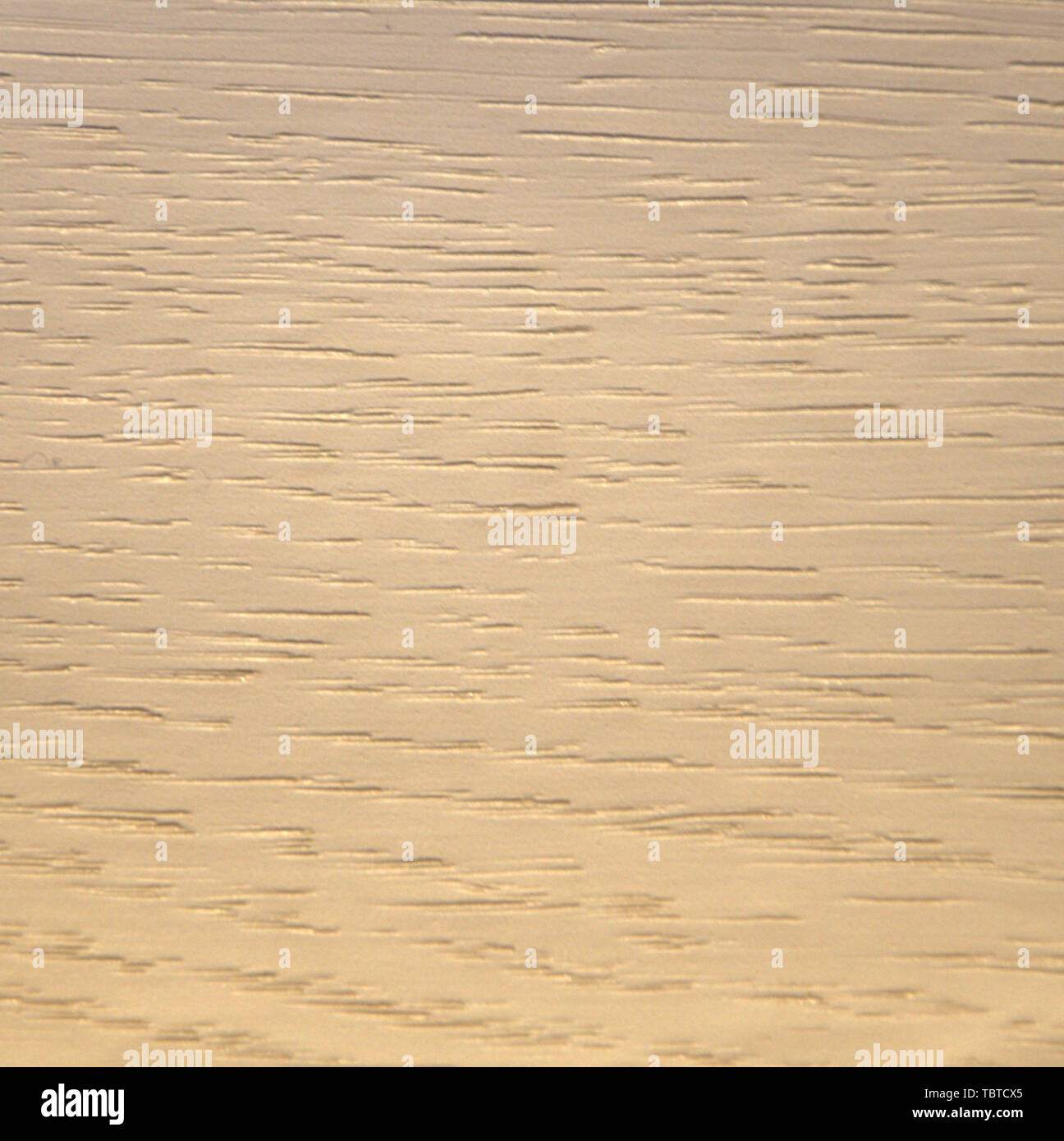 The light texture of natural wood, natural pattern on the cut Stock ...