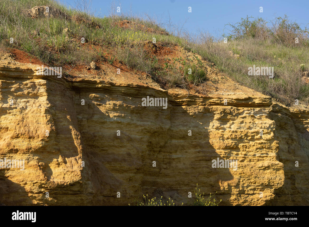 High overgrown rocks hi-res stock photography and images - Alamy