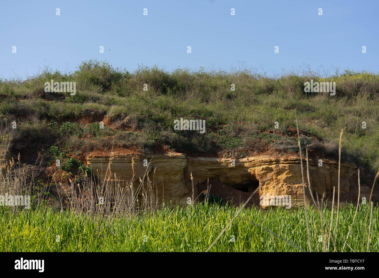 High sandy cliff overgrown with green grass and blue sky Stock Photo ...