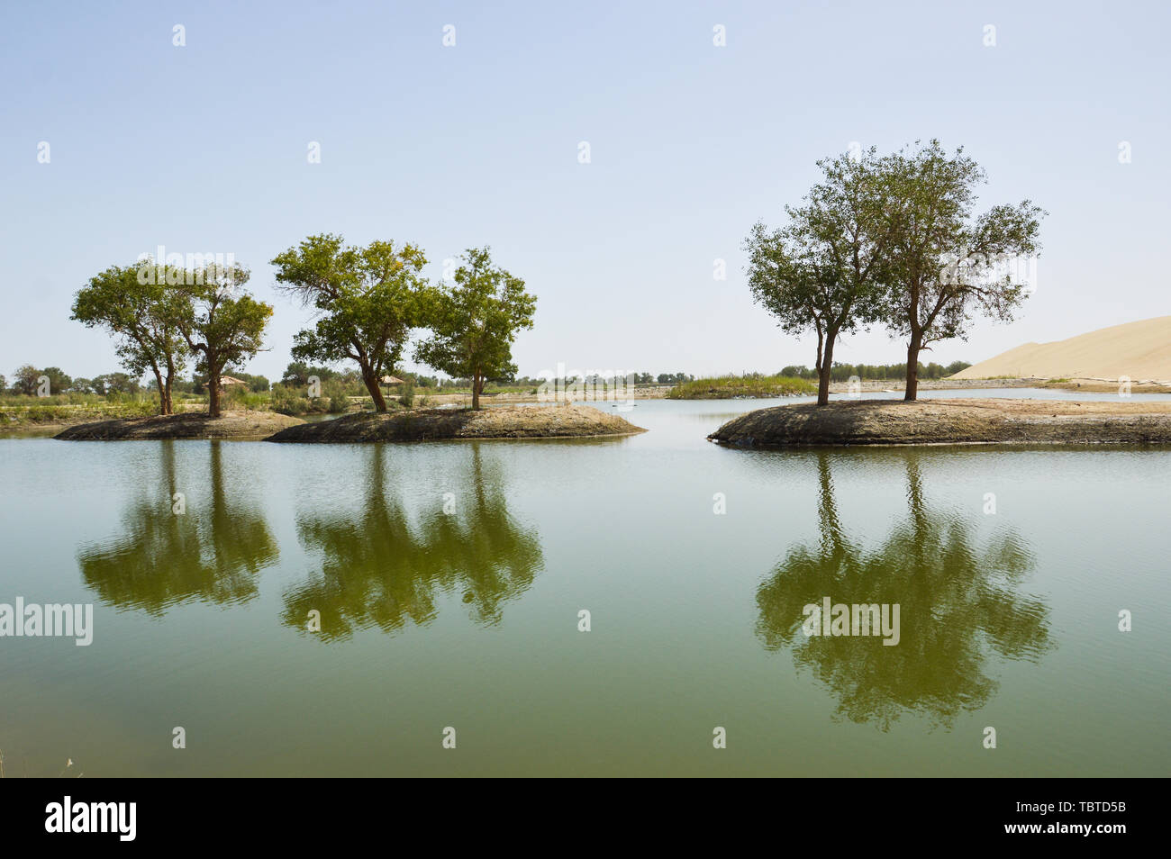 Calming parks and scenic dawn environment hi-res stock photography and ...