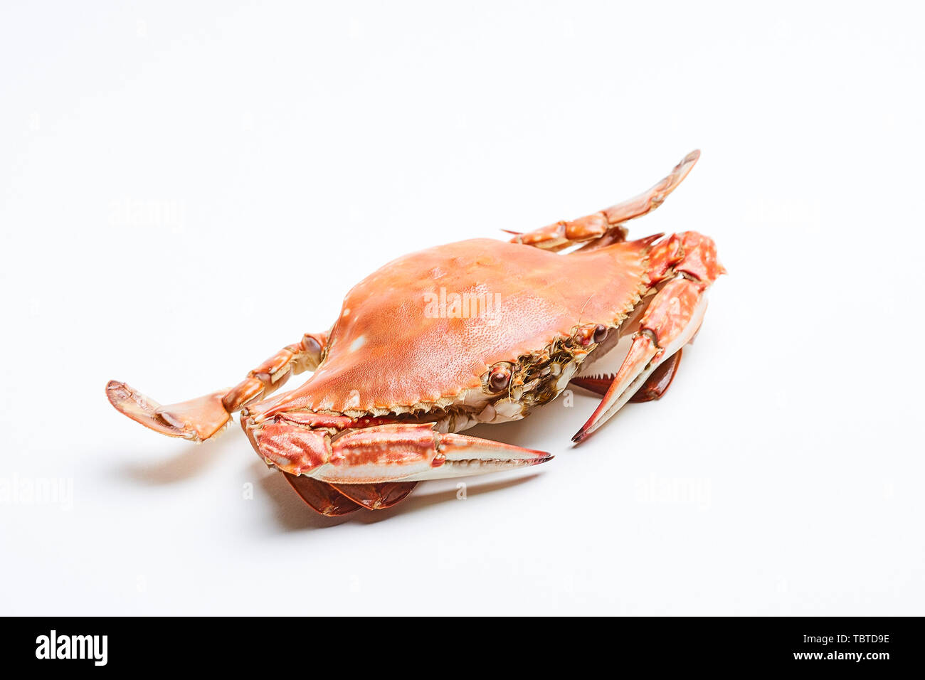 Crab feet Cut Out Stock Images & Pictures - Alamy
