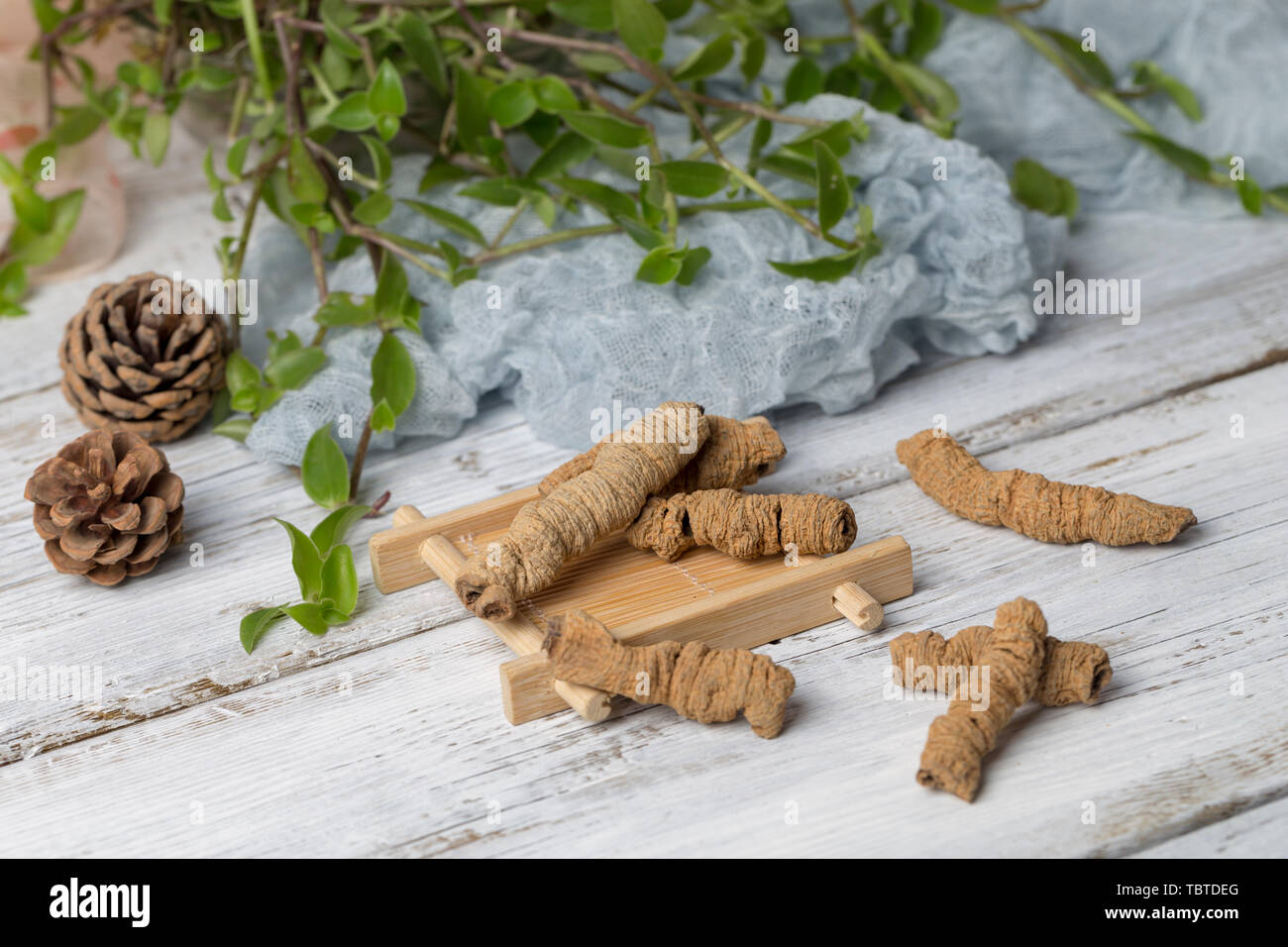 A close-up of the still life of Morinda officinalis Stock Photo - Alamy