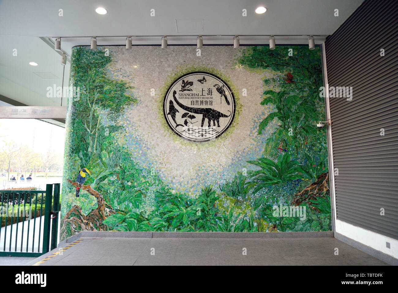 Shanghai Nature Museum Advertising Image Wall Stock Photo - Alamy