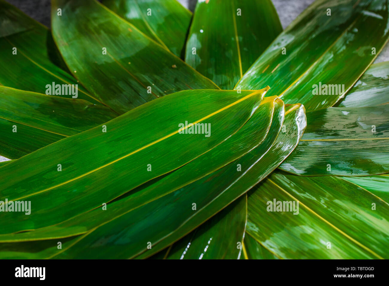 Ruo leaf is a traditional ingredient, is one of the most primitive and ...