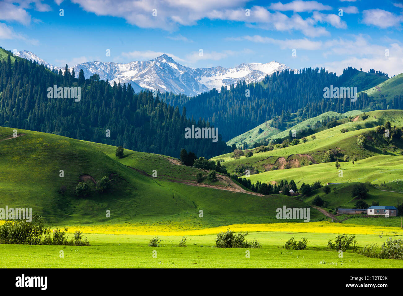 The Narati Prairie, which has a river valley and a mountain prairie ...