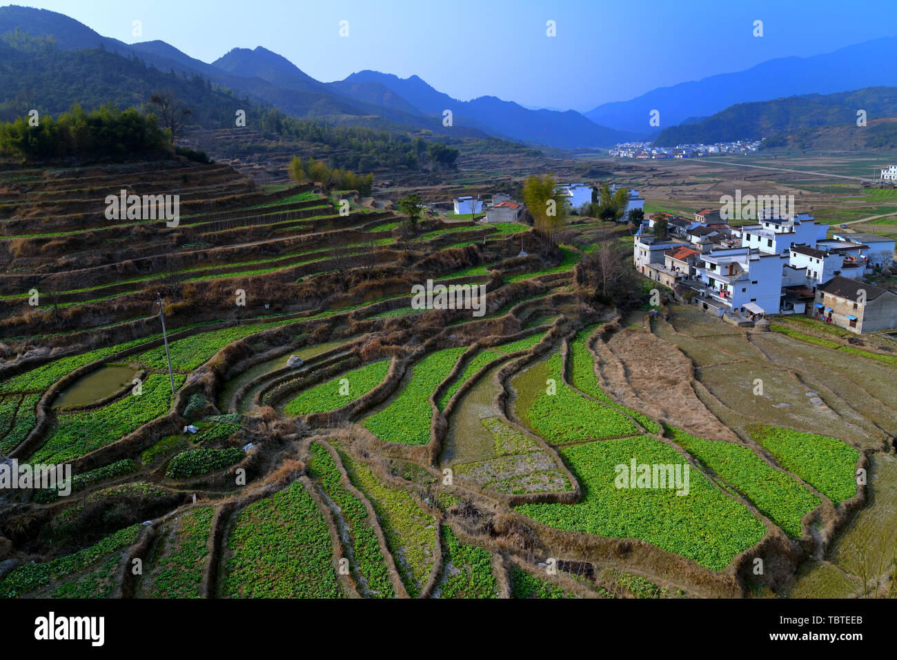 Mountain village terraces Stock Photo - Alamy