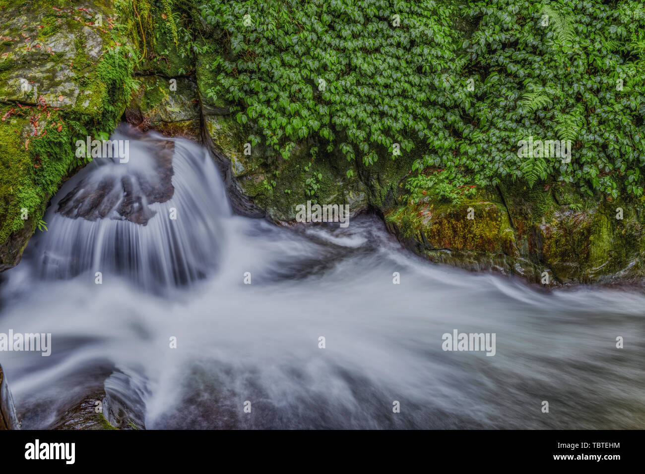 Leaf rapids hi-res stock photography and images - Alamy