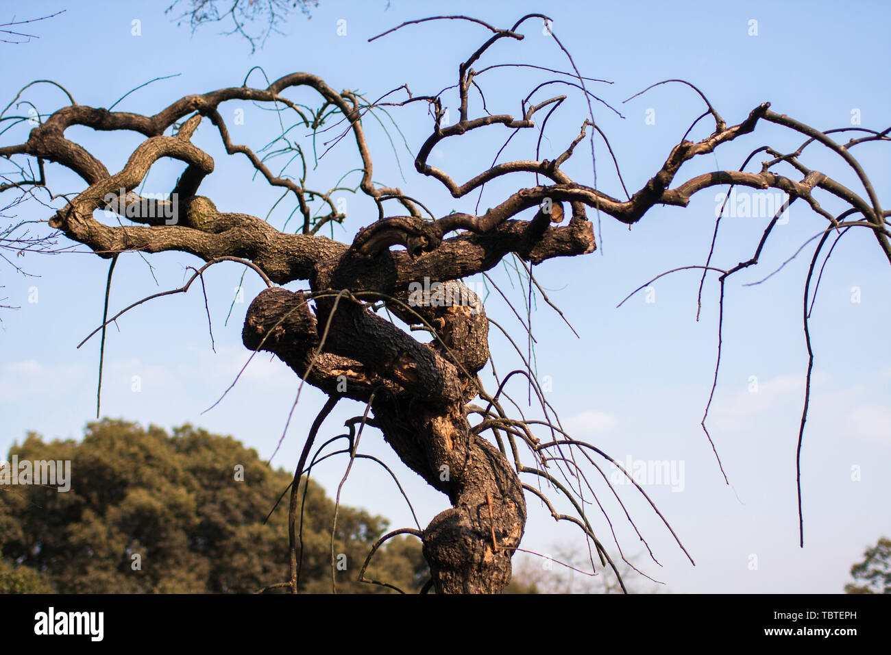 Beautiful scenery of Wuxi garden Stock Photo - Alamy