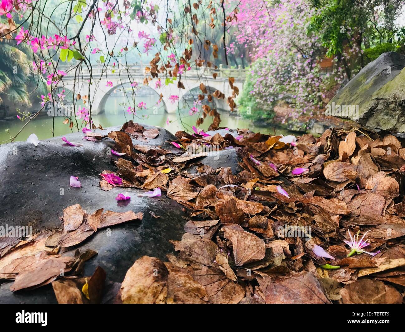 Mobile bridges hi-res stock photography and images - Alamy