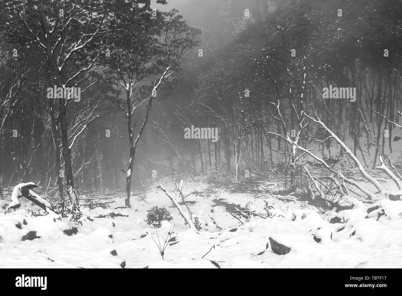 Black and white scenery of heavy snow in Xiaoshan, Hangzhou Stock Photo ...