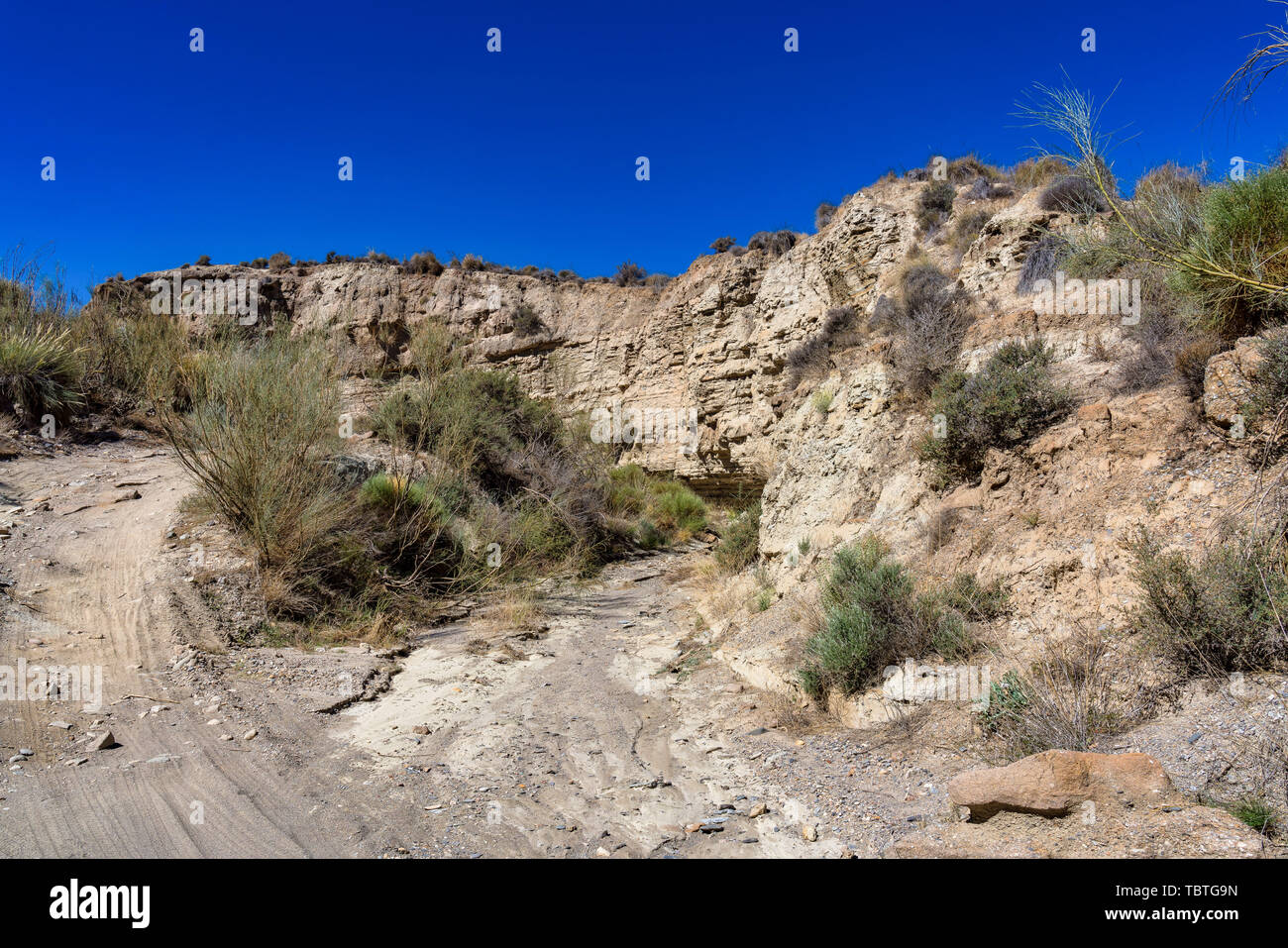 Tabernas desert, in spanish Desierto de Tabernas, Andalusia, Spain ...