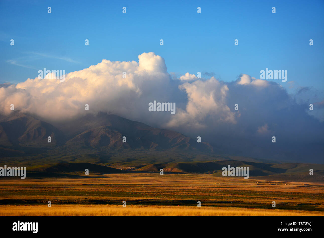 Comfortable weather with qinghai lake hi-res stock photography and ...