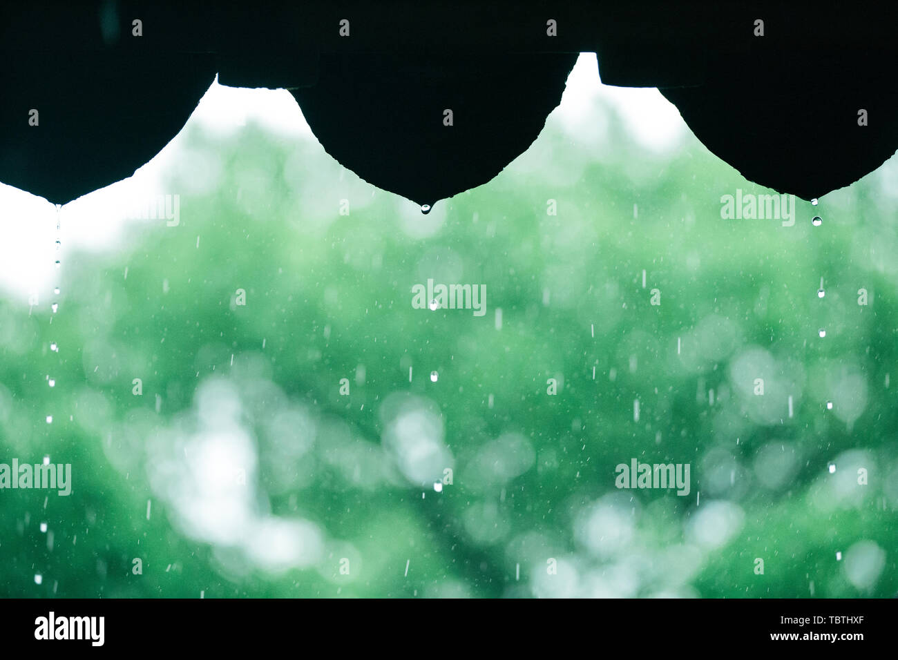 Rhythm of the rain hi-res stock photography and images - Alamy