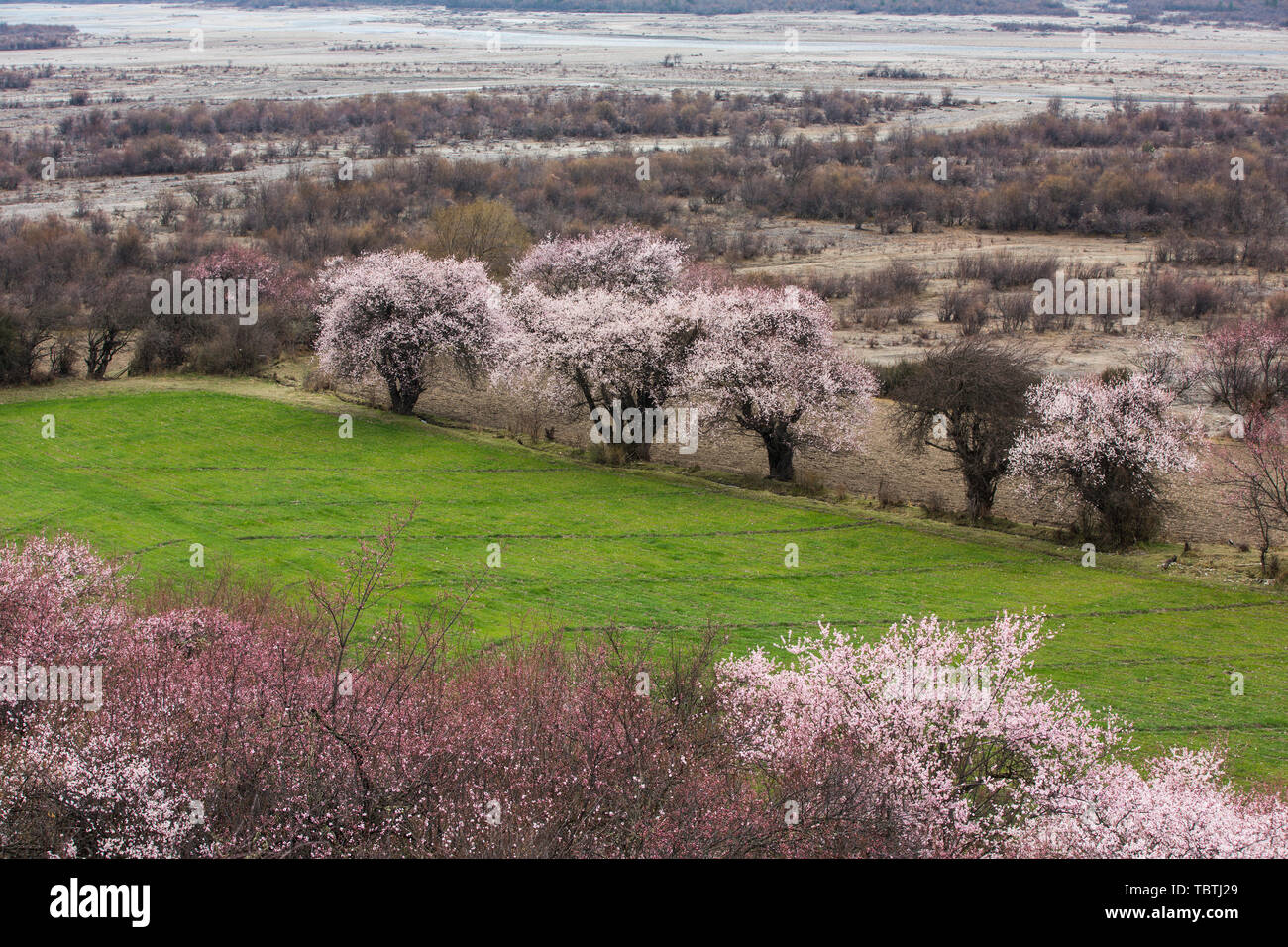 Chinji High Resolution Stock Photography and Images - Alamy
