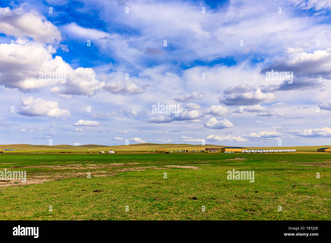 Summer in Hulunbuir Prairie, Inner Mongolia Stock Photo - Alamy