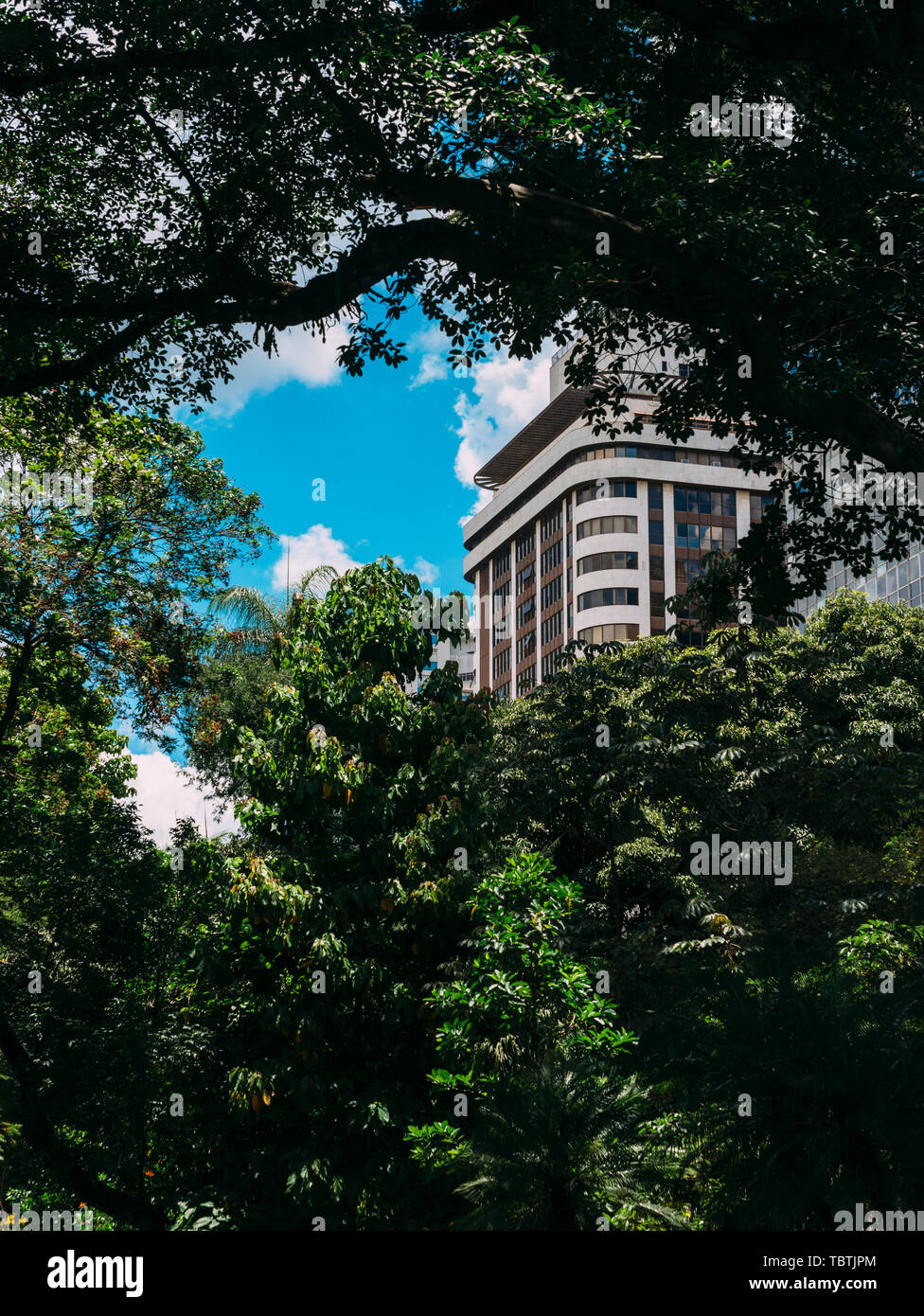 High rise residential building obscured by lush tropical rain-forest ...