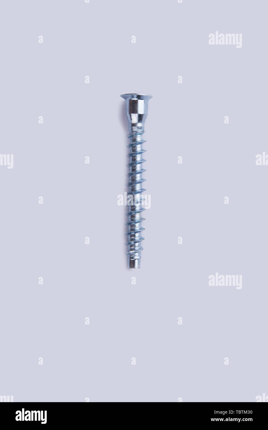 Single screw isolated on white background. Stainless steel wood screws ...