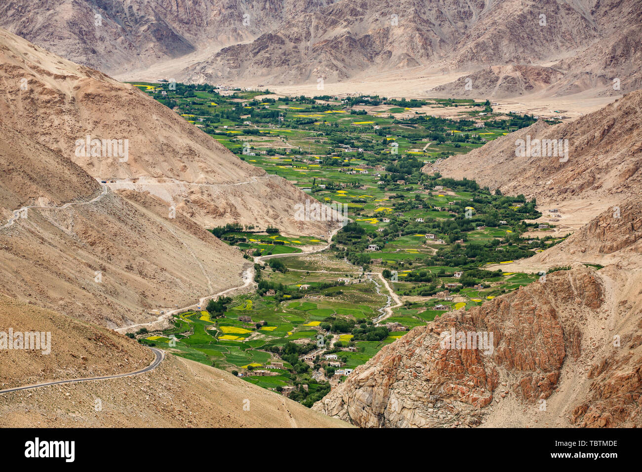 Ladakh green valley hi-res stock photography and images - Alamy