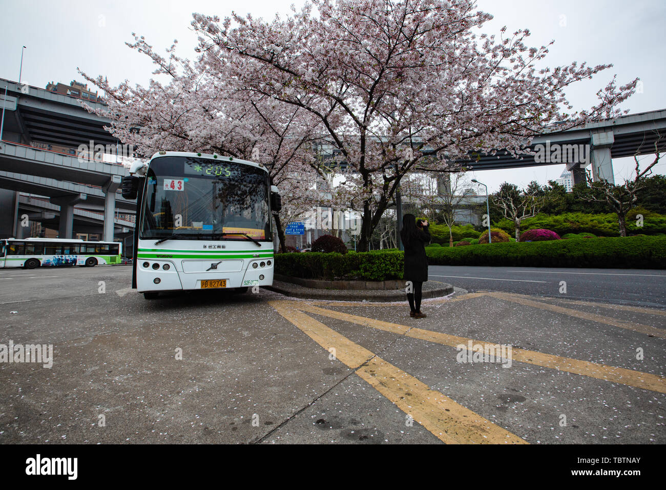 Nanpu bus station Stock Photo - Alamy