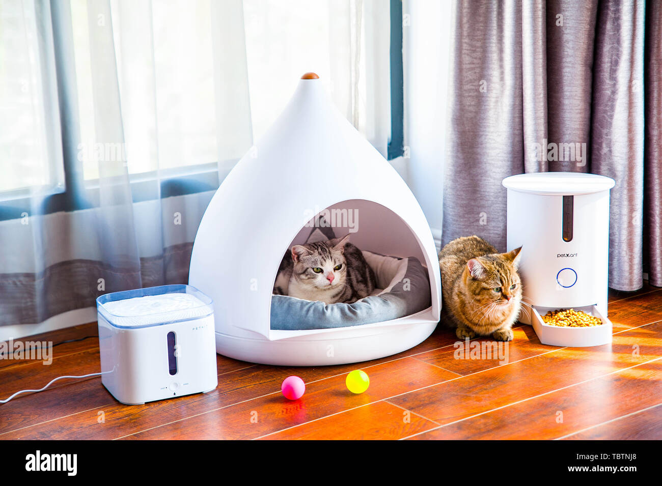 Sprouting windows hi-res stock photography and images - Alamy