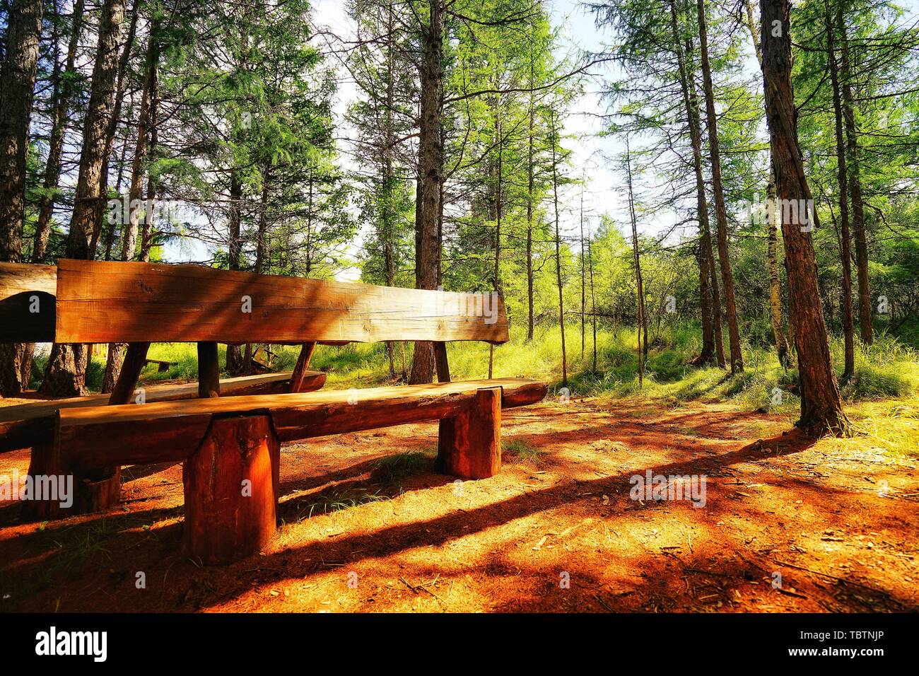 Mordaoga forest park hi-res stock photography and images - Alamy