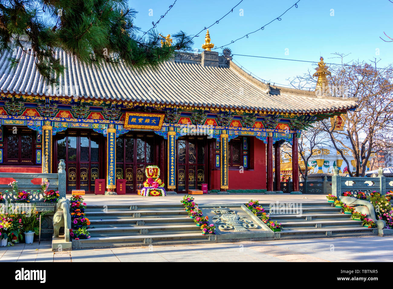 Shenyang architecture hi-res stock photography and images - Alamy