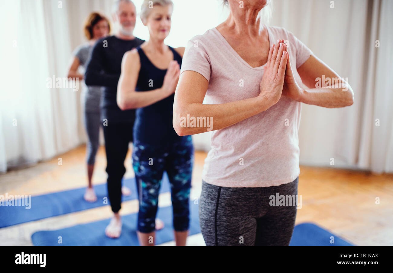 Group of senior people doing exercise in community center club Stock ...