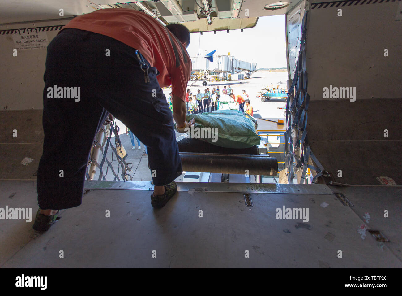 Southern Airlines, ground crew transporting checked baggage Stock Photo ...