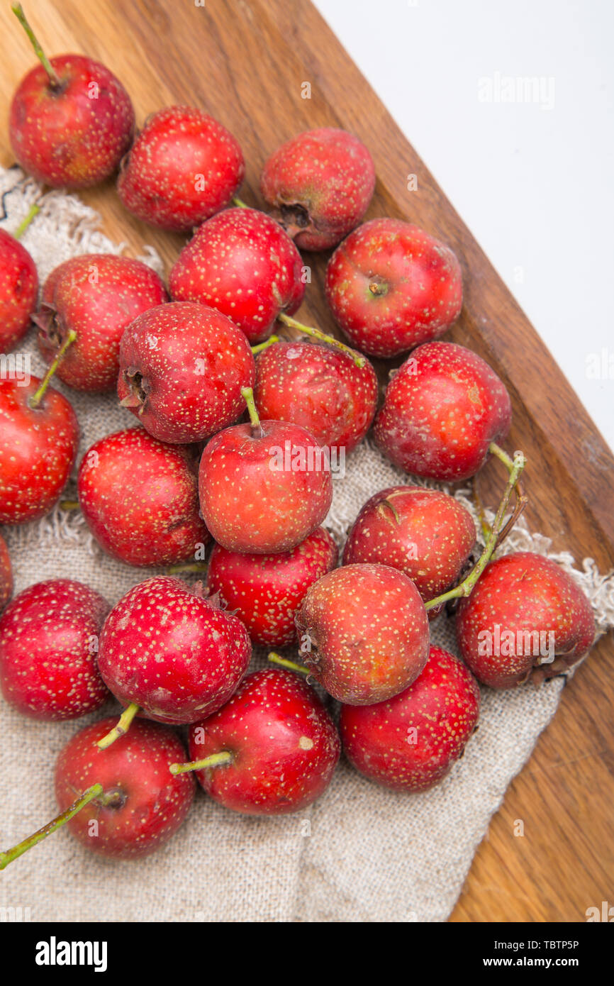 Real hawthorn hi-res stock photography and images - Alamy