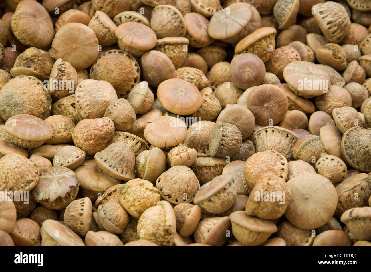Kidney fruit hi-res stock photography and images - Alamy