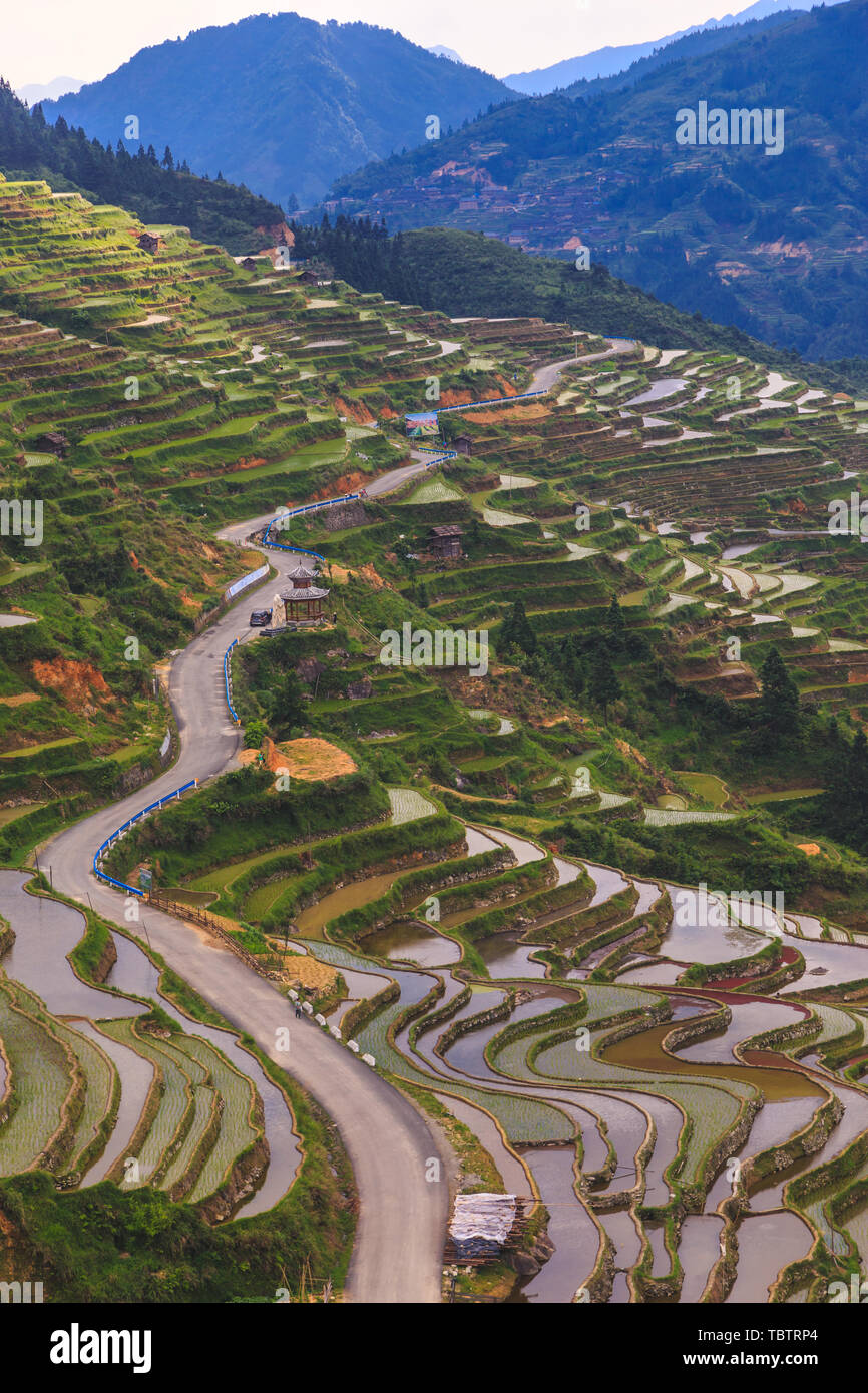 Sunrise scenery of terraces in Congjiang County, Guizhou Province ...