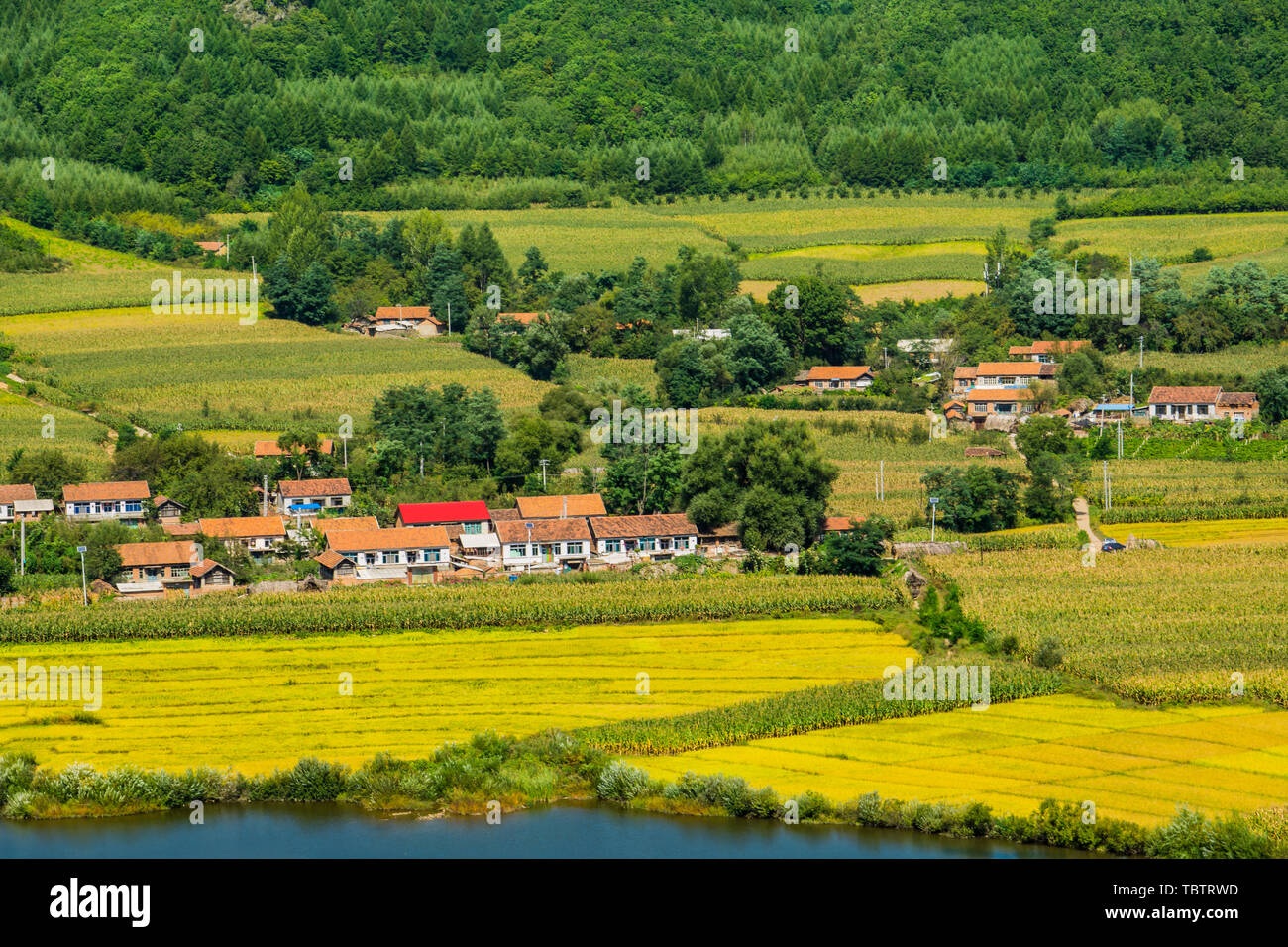 Fall country fields Stock Photo - Alamy