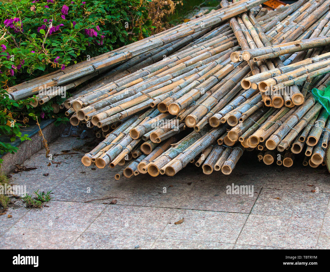 The connected dry bamboo wood Stock Photo - Alamy