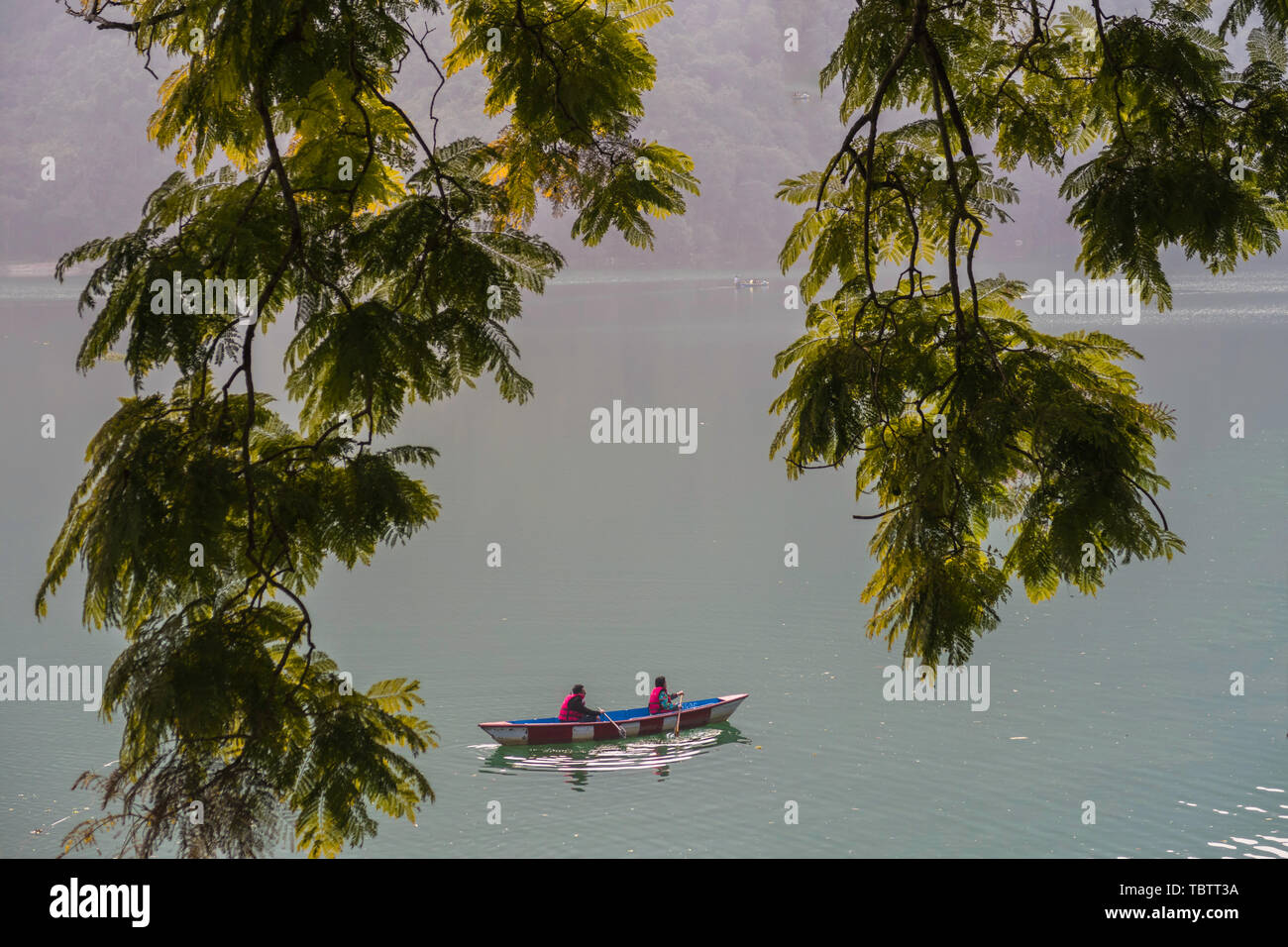 Feiwa hi-res stock photography and images - Alamy