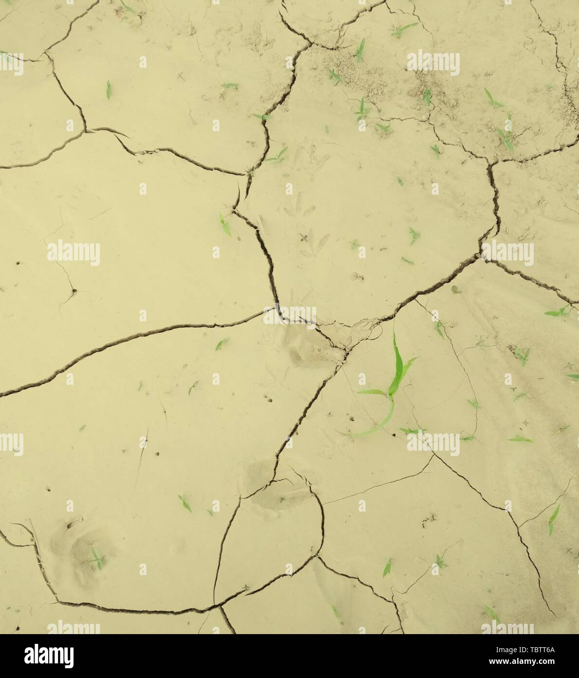 Mould breaking hi-res stock photography and images - Alamy