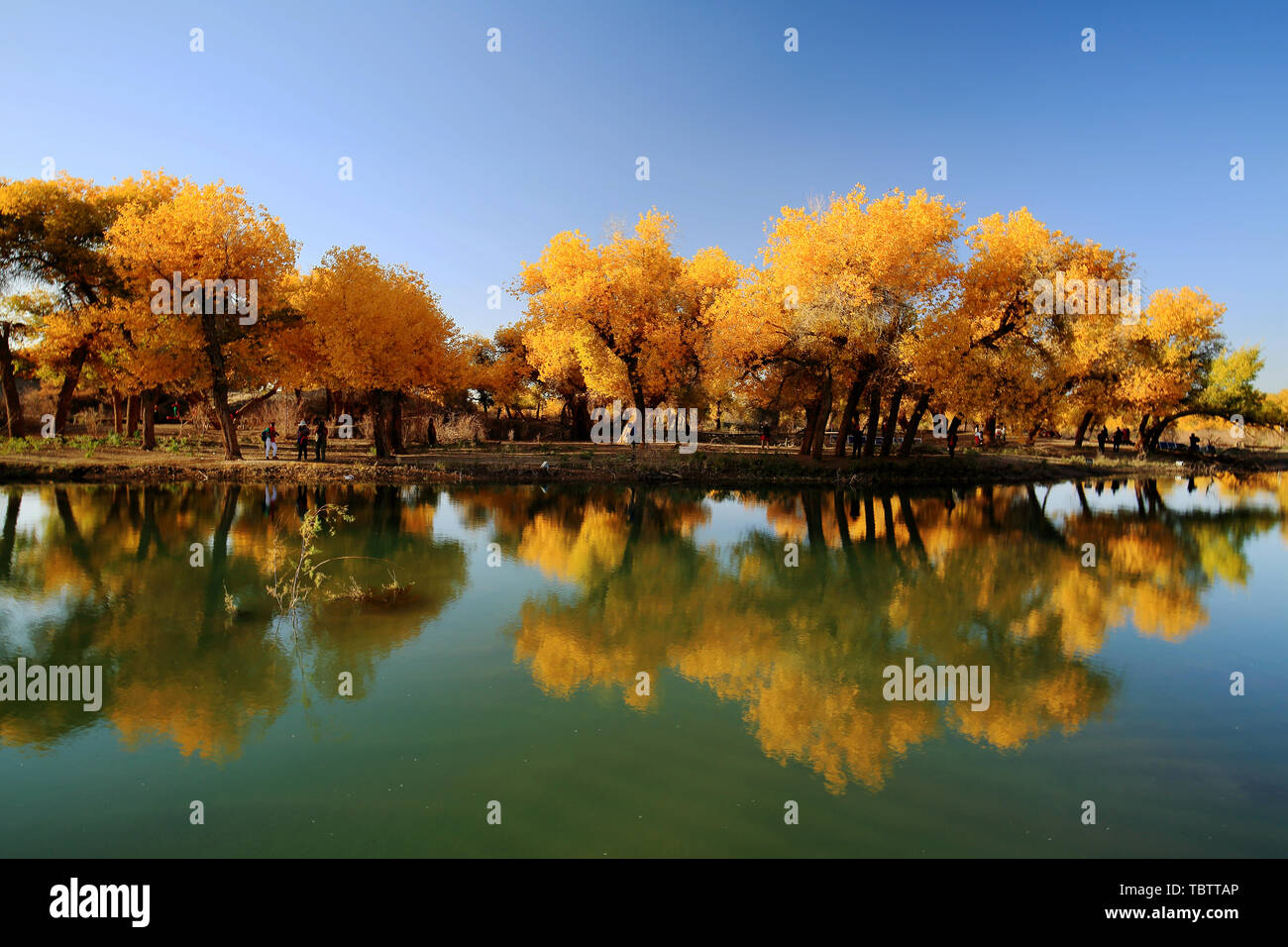 Bright demeanor hi-res stock photography and images - Alamy