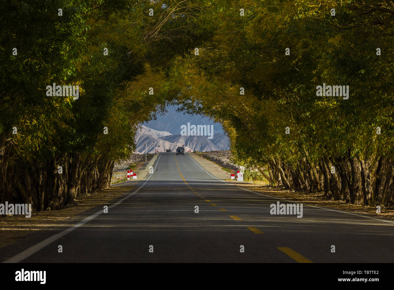 Trees and transportation system hi-res stock photography and images - Alamy