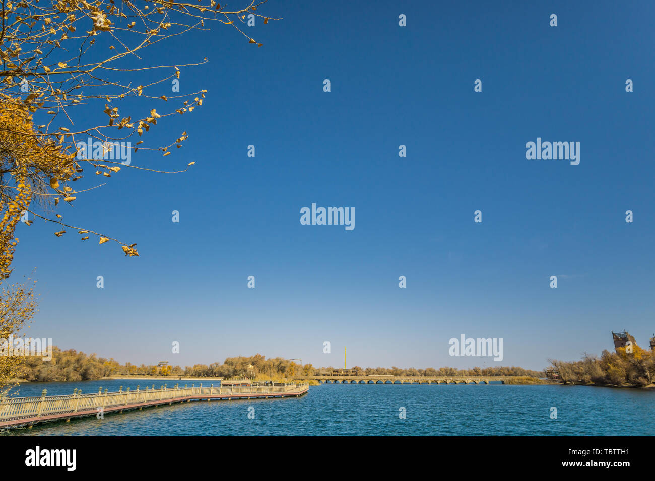 Poplar Lin, lake, reflection, beautiful scenery Stock Photo - Alamy
