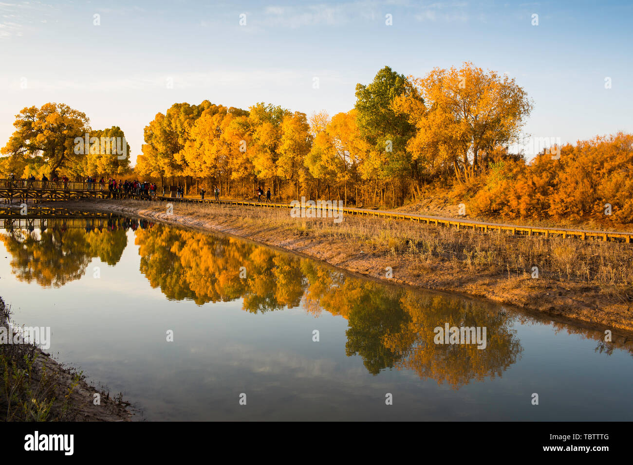 Hu yang lin hi-res stock photography and images - Alamy