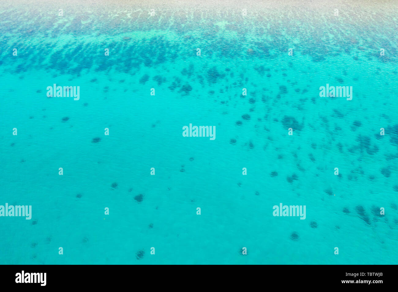 Tropical sea details, blue water in daylight. wallpaper of clear blue ...