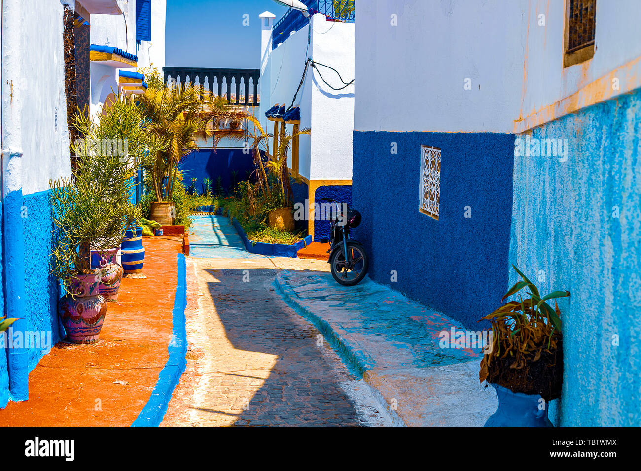 Blue and white traditional street with plants and palm trees in pots in ...