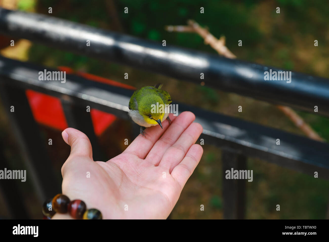 Intimate photos of lovesick interacting with people Stock Photo - Alamy