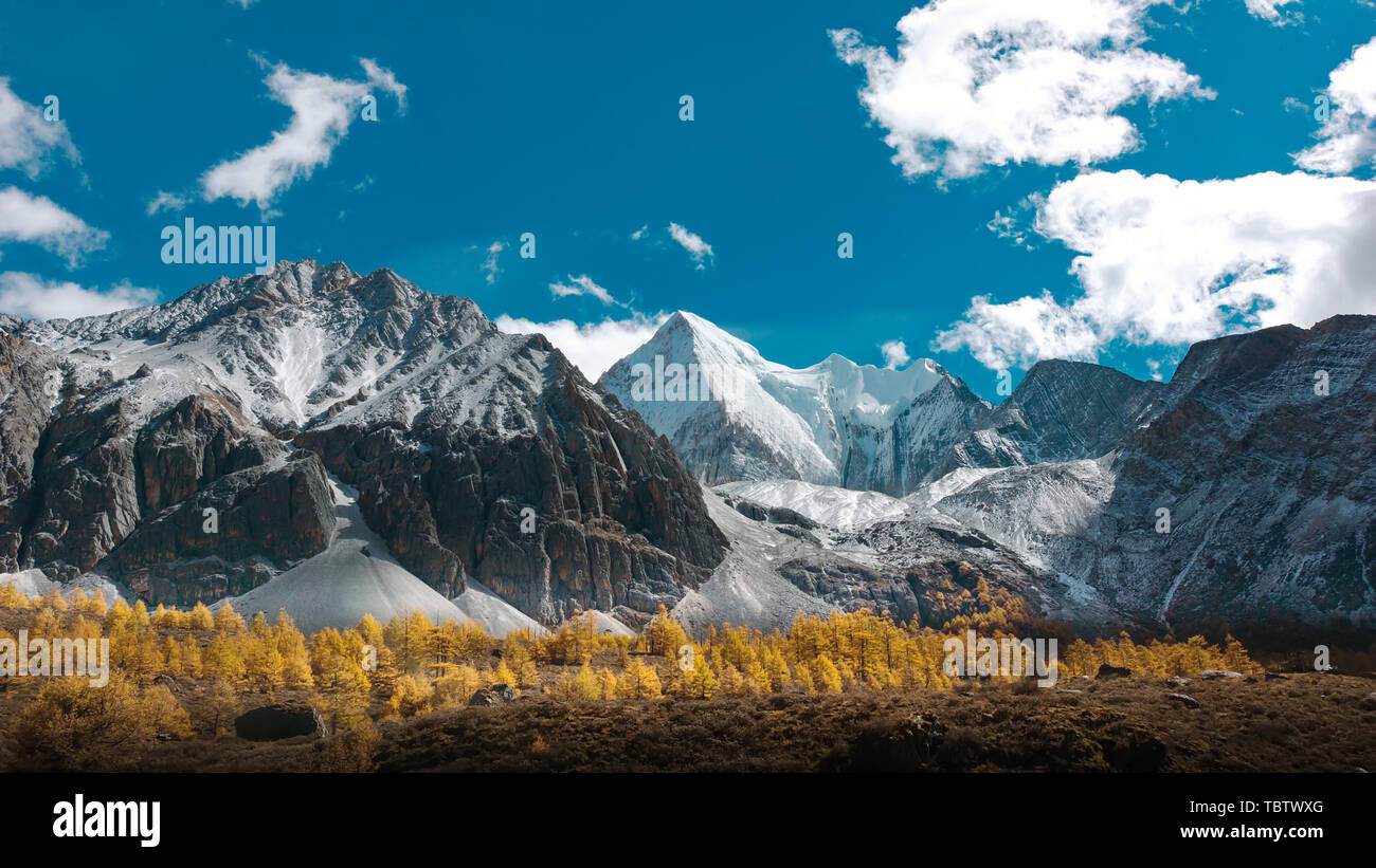 Climbing wood rice city aden hi-res stock photography and images - Alamy