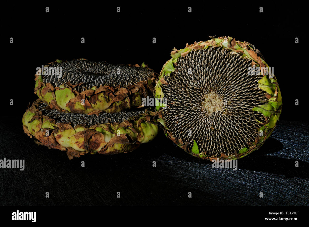 Fruit of sunflower - sunflower seeds Stock Photo - Alamy