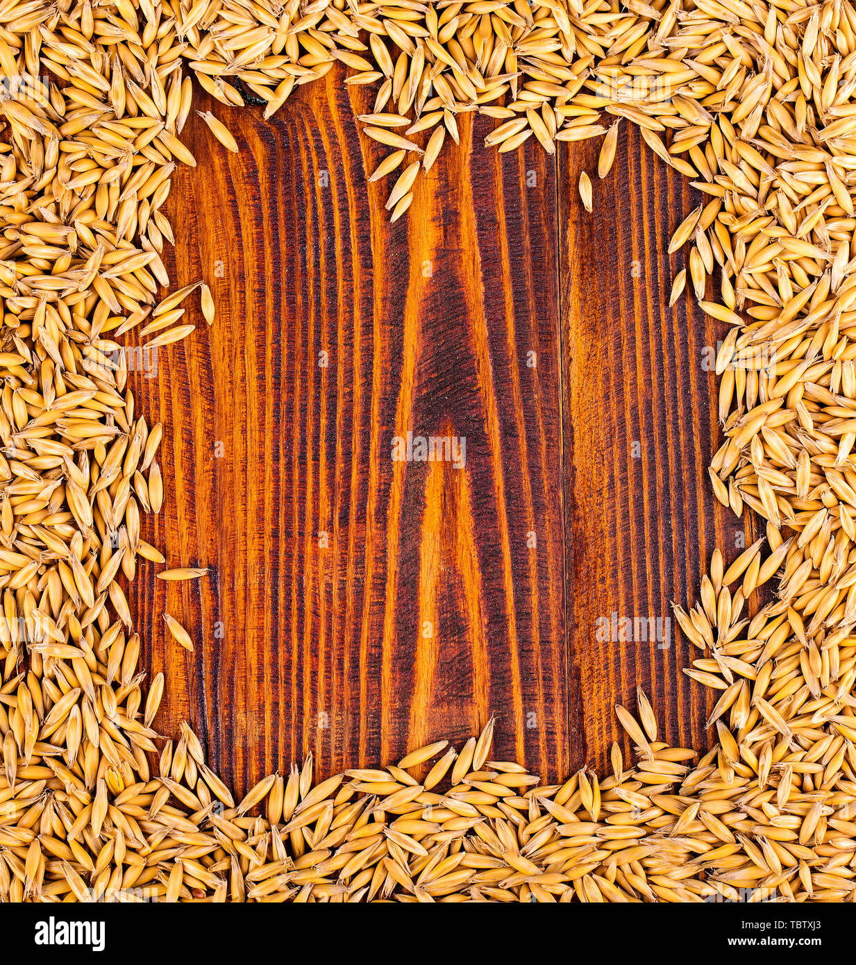 Oat ears stems on a dark brown wood background Stock Photo - Alamy