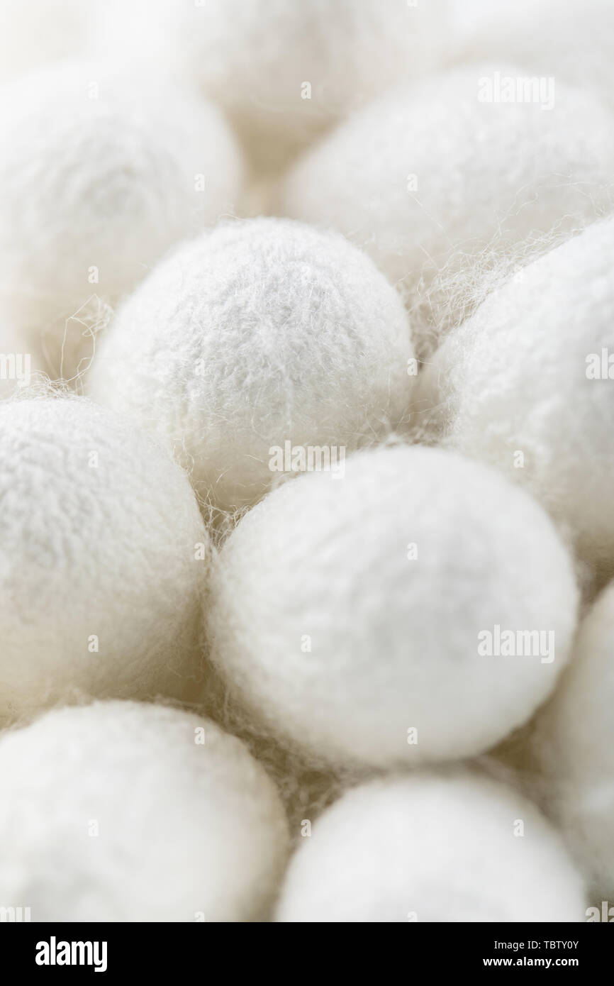 Smooth cocoon hi-res stock photography and images - Alamy