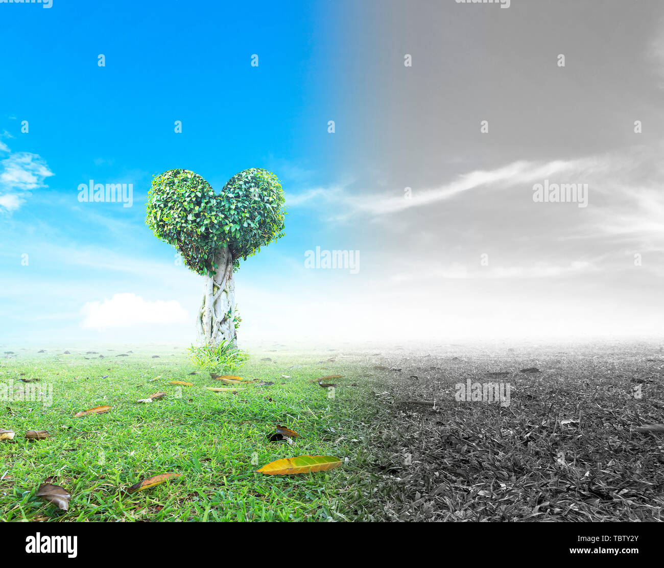 The environment is changing Stock Photo - Alamy